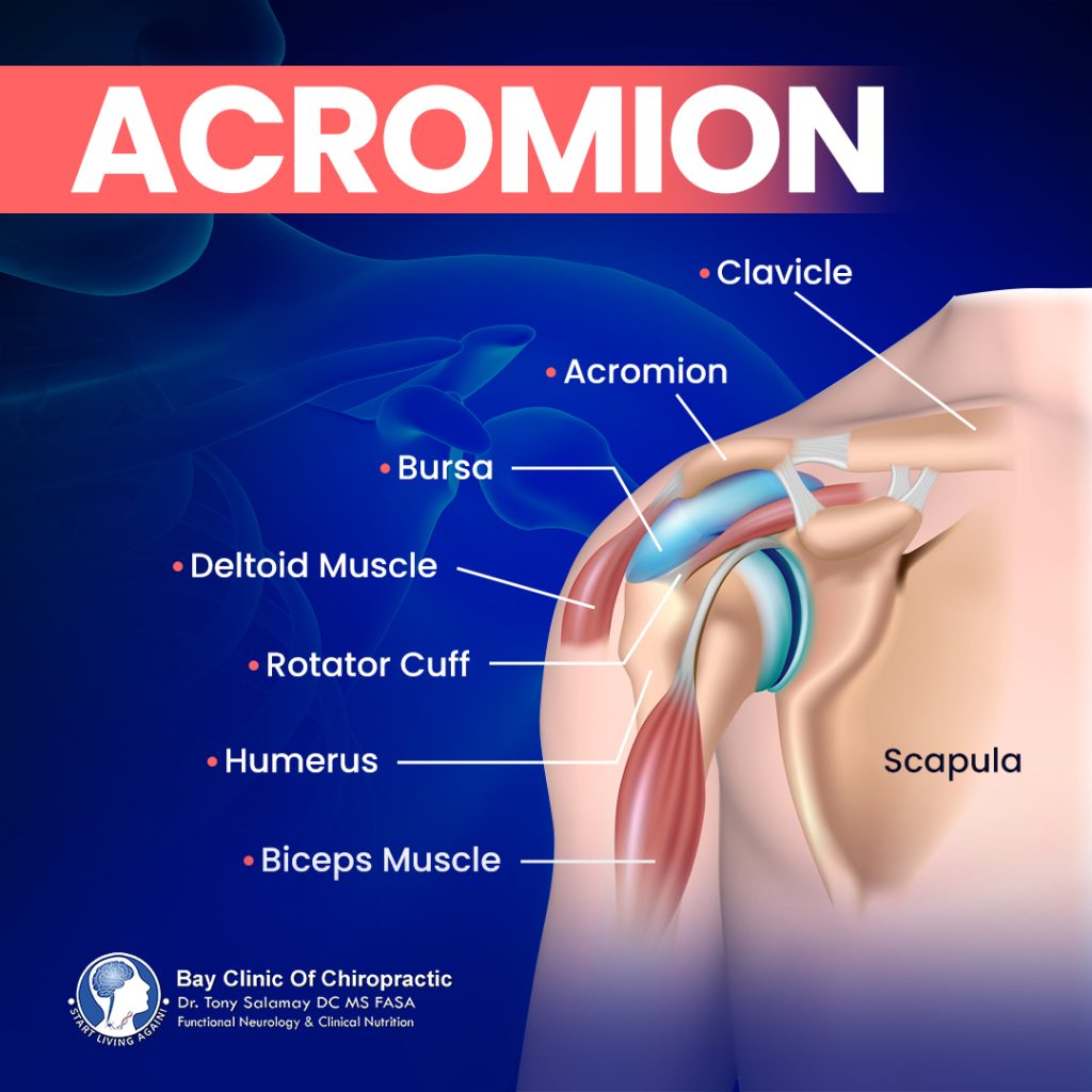 Shoulder Pain: Causes, Risks and Chiropractic Treatment