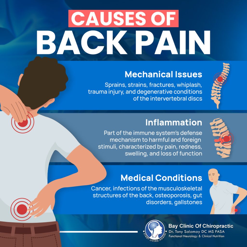 Back Pain: Classifications, Causes and Chiropractic Treatments