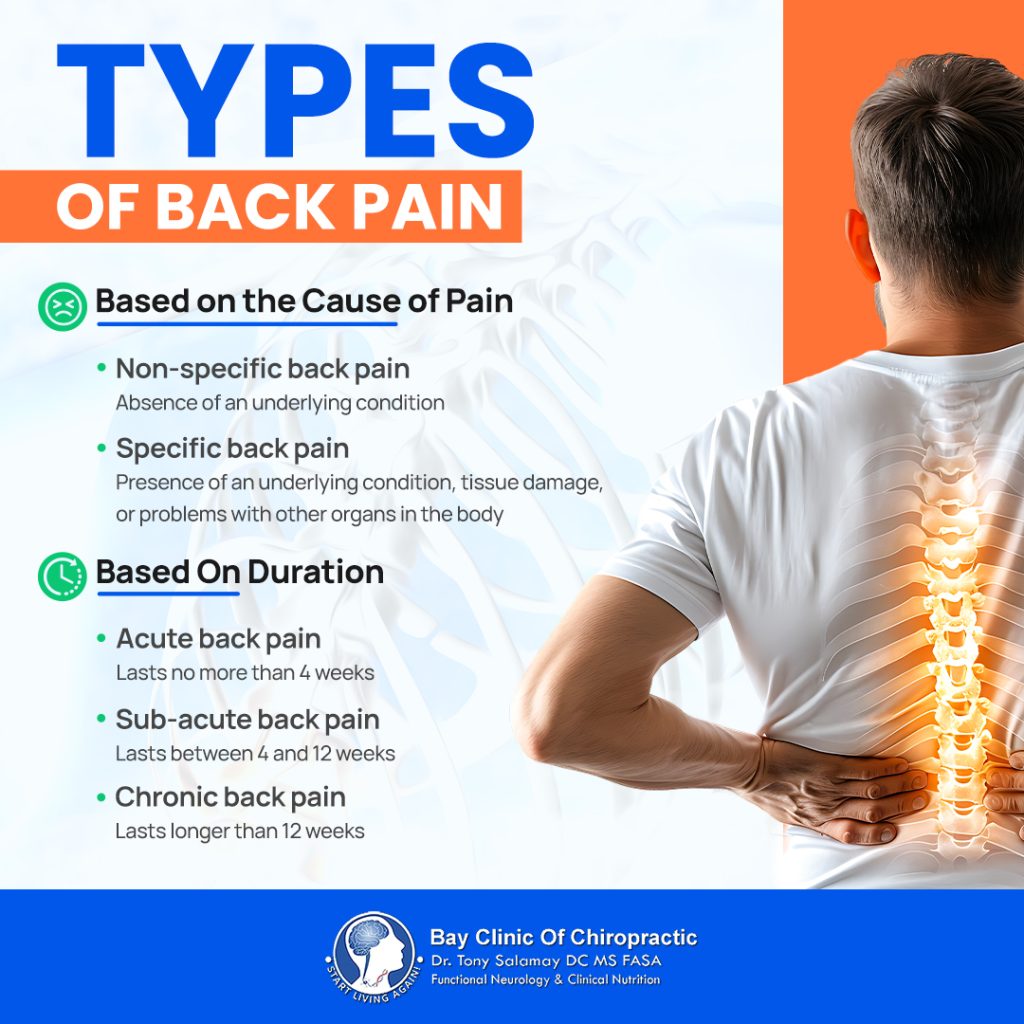 Back Pain: Classifications, Causes and Chiropractic Treatments