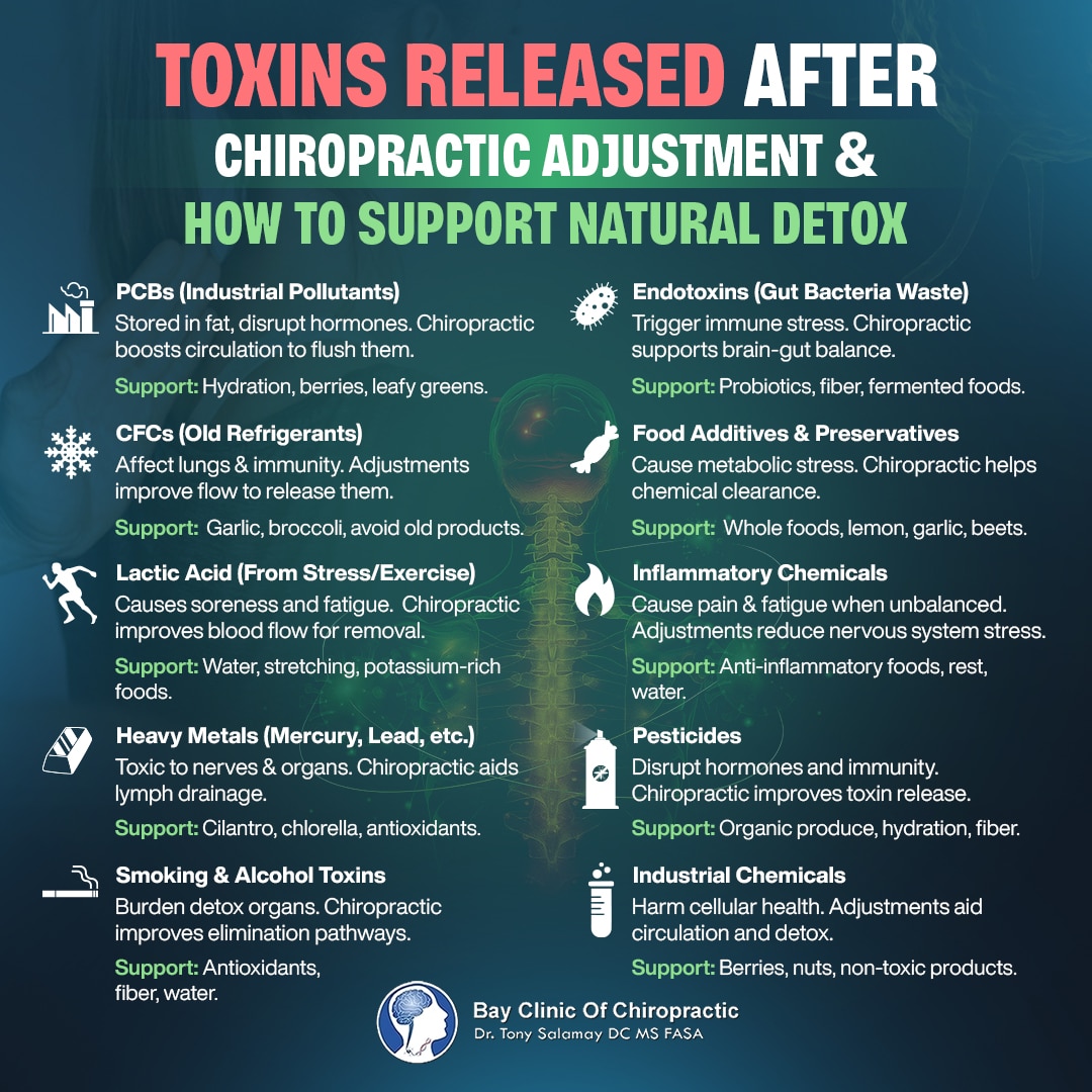 What Is Toxin Release After A Chiropractic Adjustment?